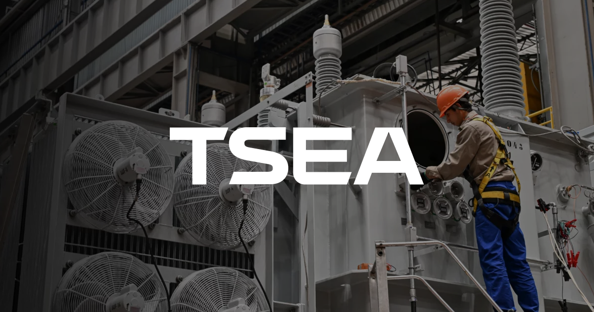 TSEA - Infraestrutura Energética Sob Medida